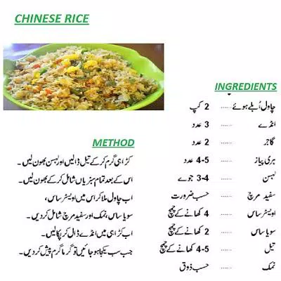 Chinese Fried Rice Recipe In Urdu