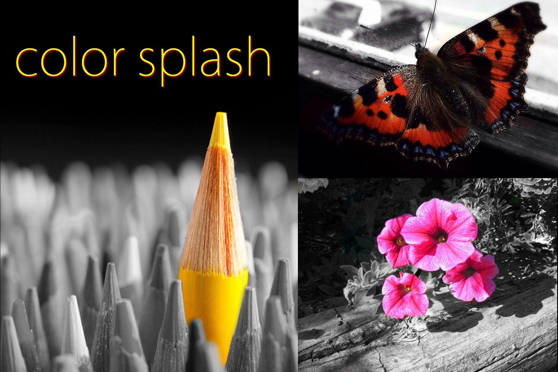 Color Splash Filters APK for Android Download