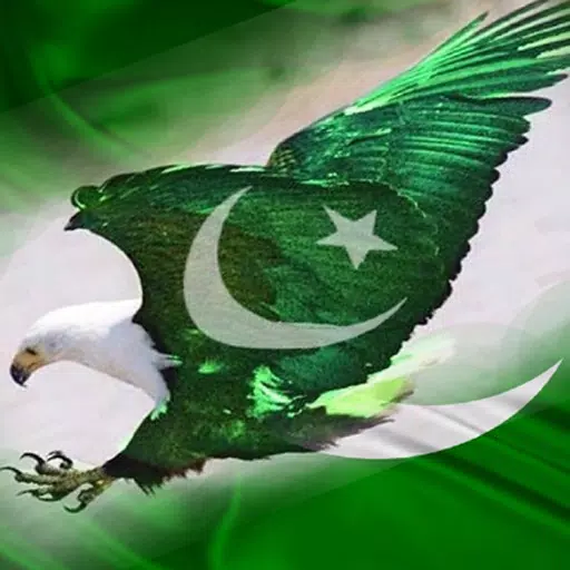 Pakistani Baby With Flag