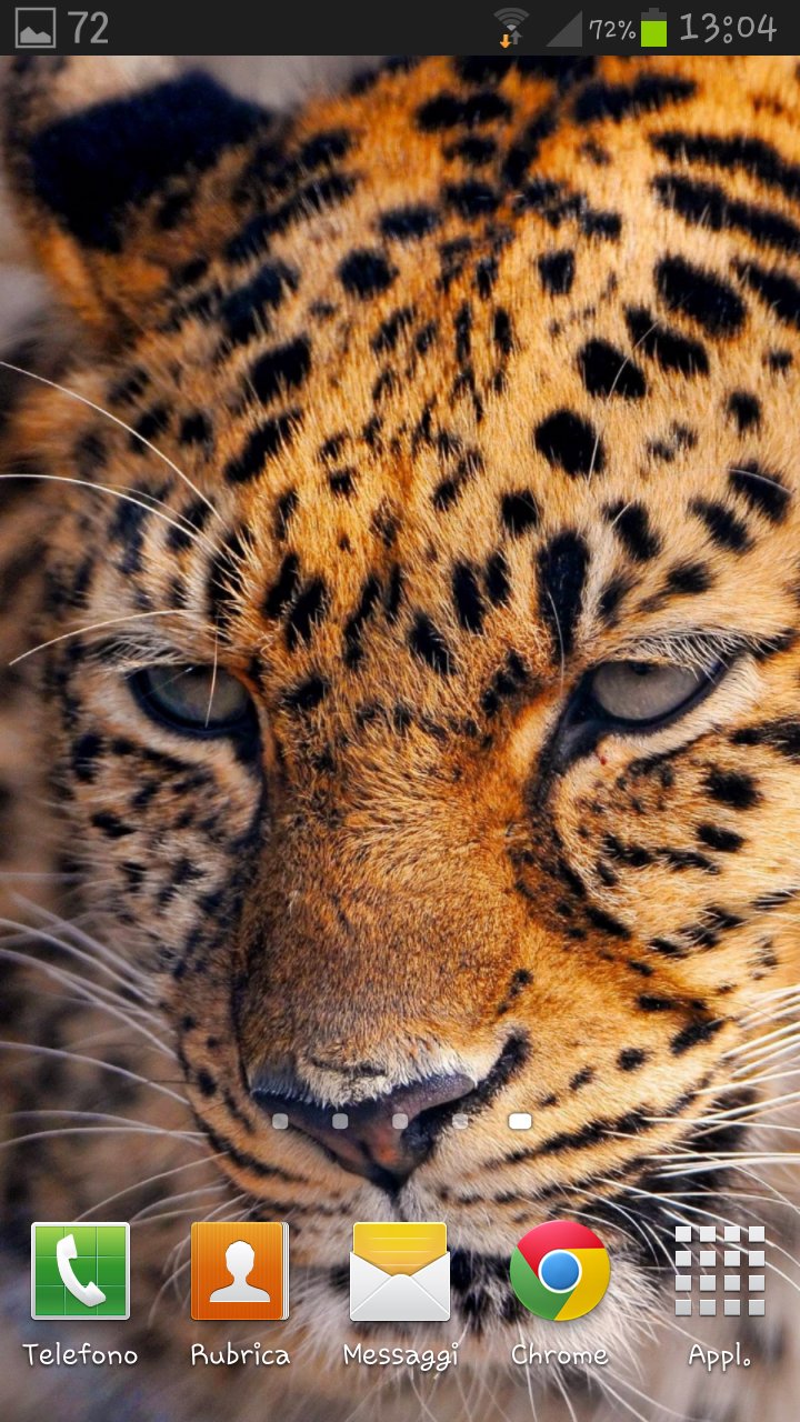 Feline Live Wallpaper HD APK for Android Download