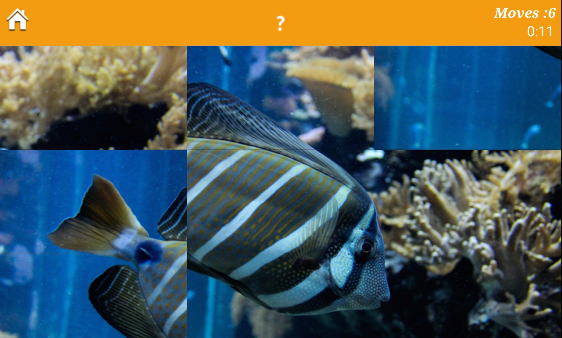 Tropical Fish Puzzle Games APK for Android Download