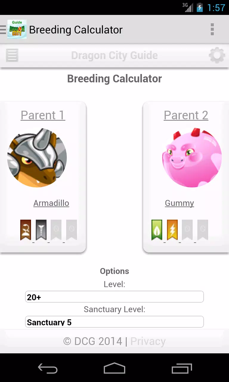 Armadillo Dragon Breeding Guide