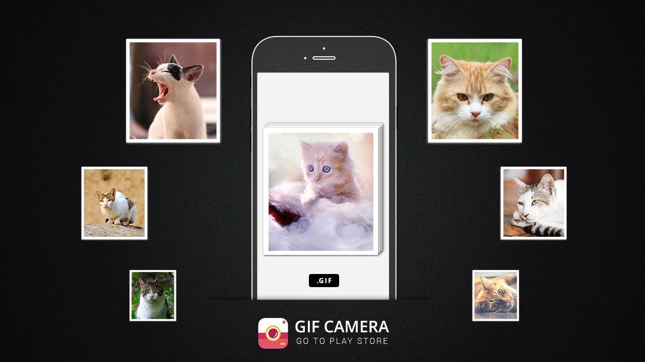 GIF Camera - Video to GIF APK للاندرويد تنزيل