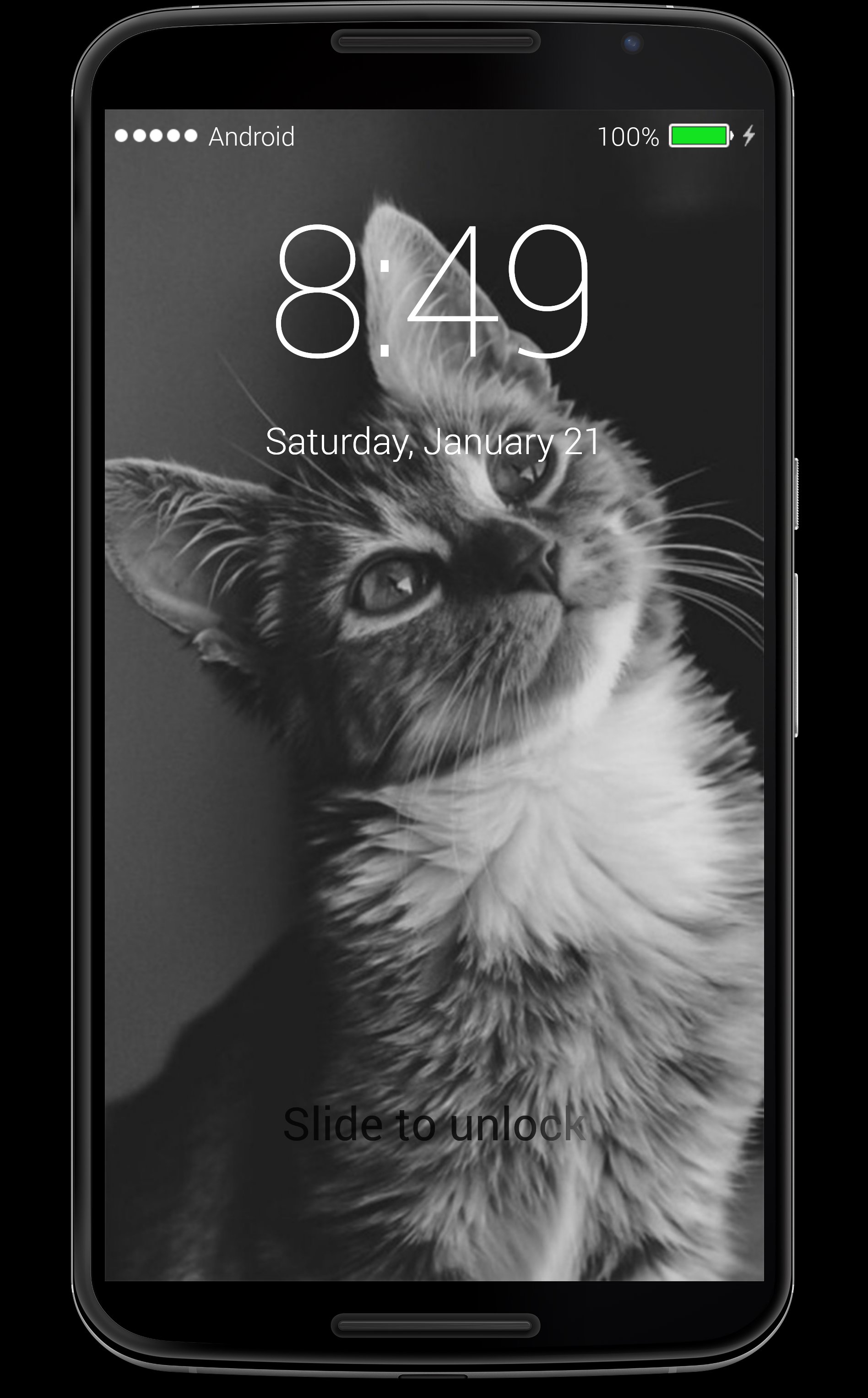 Download kitty cat lock screen protect Latest Version 1.2 Android APK File