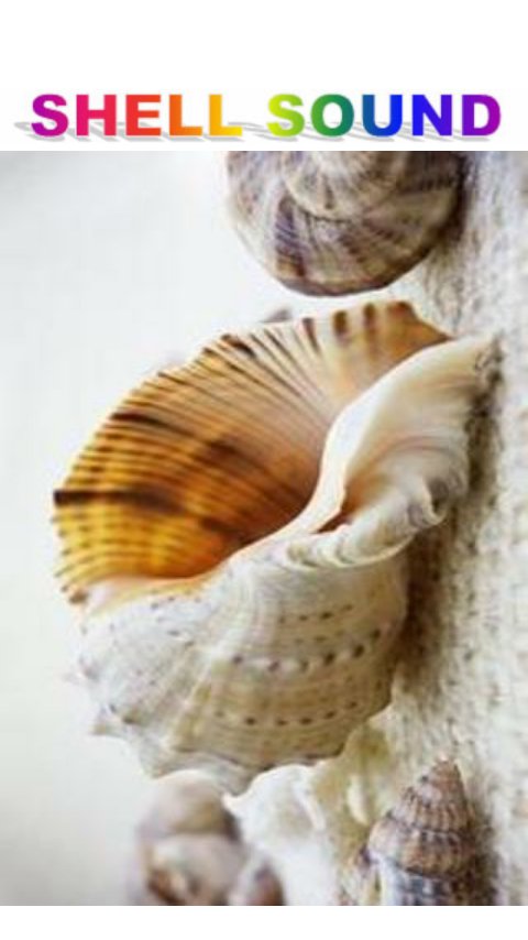 Shell Sound APK for Android Download