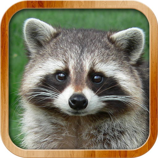 Kids Learn About Animals APK 8.9.4 for Android – Download Kids Learn ...