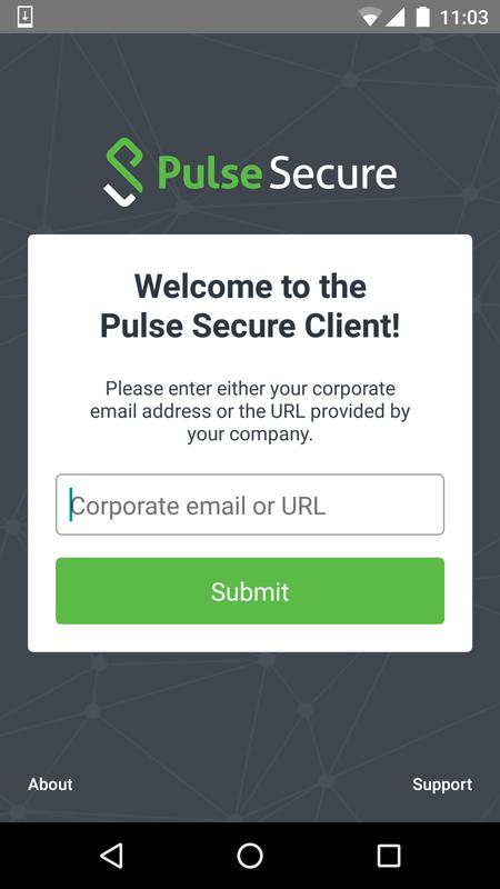 Pulse Secure Pulse Secure