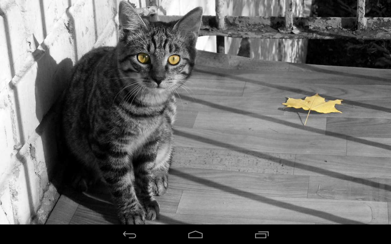 Immersion: Beautiful Pictures APK 0.91 pour Android Gratuit télécharger