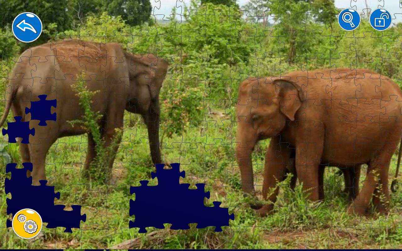 Video Jigsaw Puzzle APK für Android herunterladen Video Jigsaw Puzzle APK für Android herunterladen