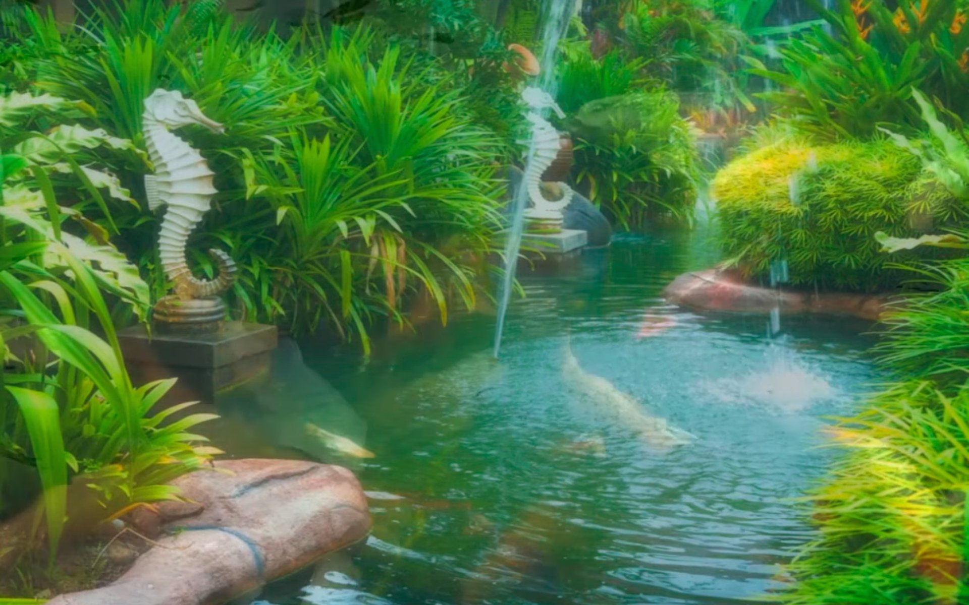 Zen TV APK for Android Download