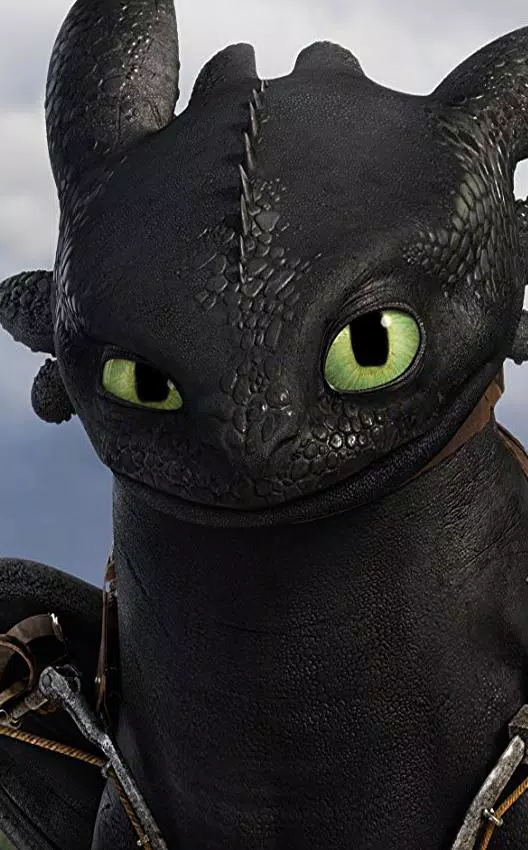 How To Train Your Dragon Phone Wallpaper