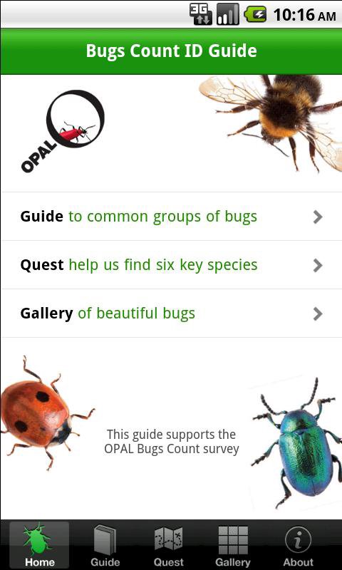 Download Bugs Count Latest Version 1.4 Android APK File