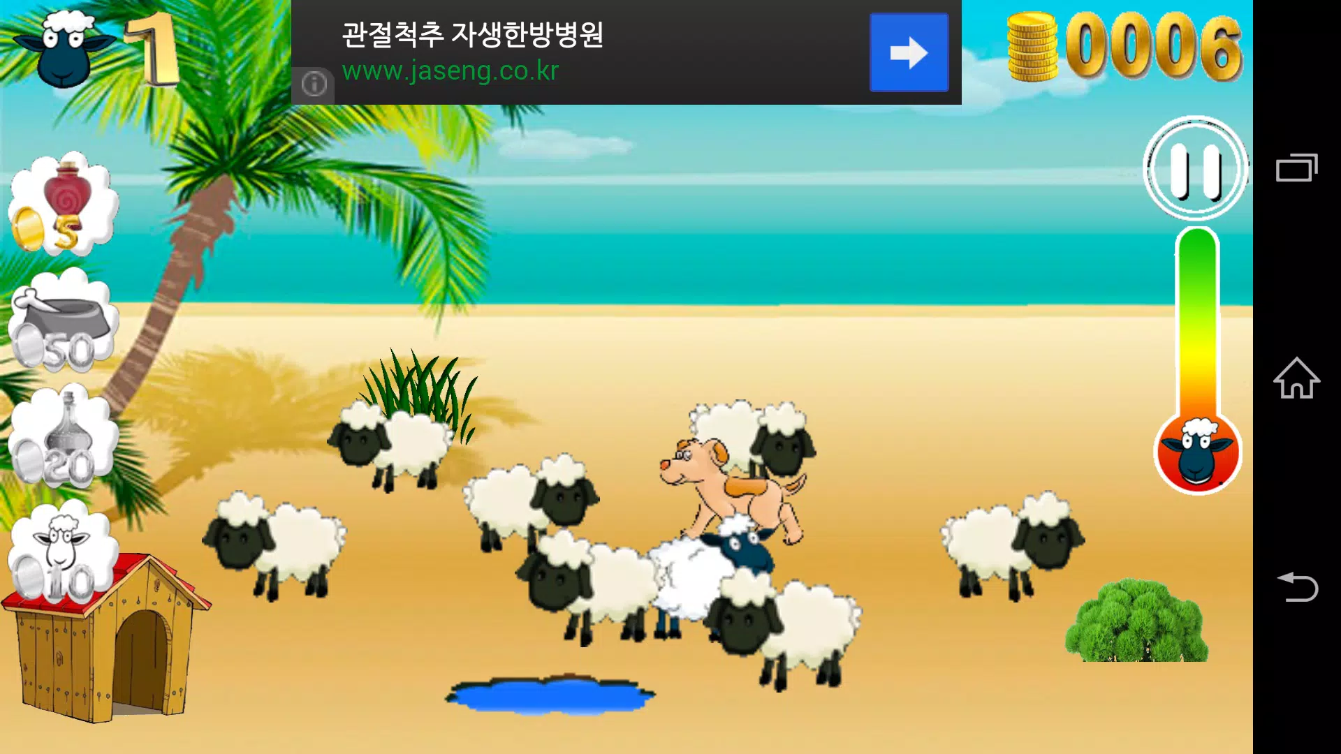 Crazy Sheep Game