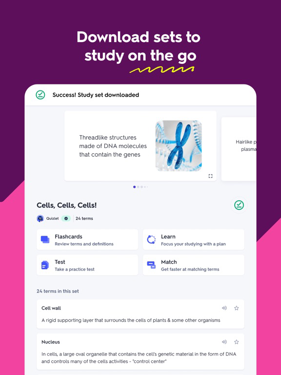 Quizlet: AI-powered Flashcards for iOS (iPhone/iPad) - Free Download at ...