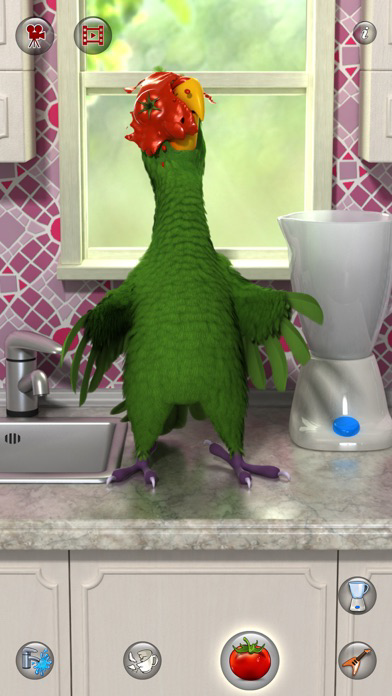 Talking Pierre the Parrot for iOS (iPhone) - Free Download at AppPure