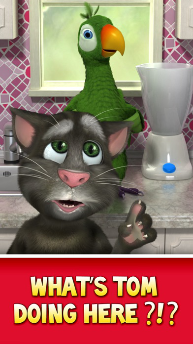 Talking Pierre the Parrot for iOS (iPhone) - Free Download at AppPure