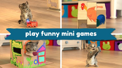 Little Kitten: Virtual Pet Cat for iOS (iPhone/iPad) Latest Version at ...