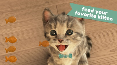 Little Kitten: Virtual Pet Cat for iOS (iPhone/iPad) Latest Version at ...