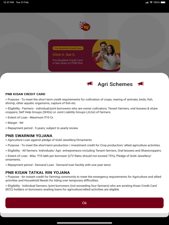 PNB ONE for iOS (iPhone/iPad) - Free Download at AppPure