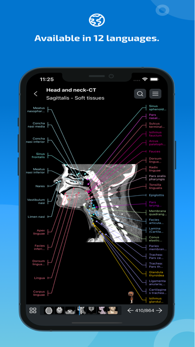 IMAIOS e-Anatomy for iOS (iPhone/iPad) - Free Download at AppPure