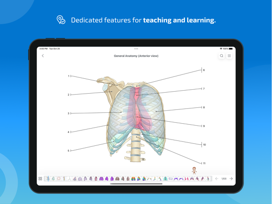 IMAIOS e-Anatomy for iOS (iPhone/iPad) - Free Download at AppPure