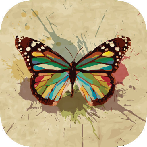 Butterfly Wallpapers, Backgrounds & Themes - Download Free HD Images of ...