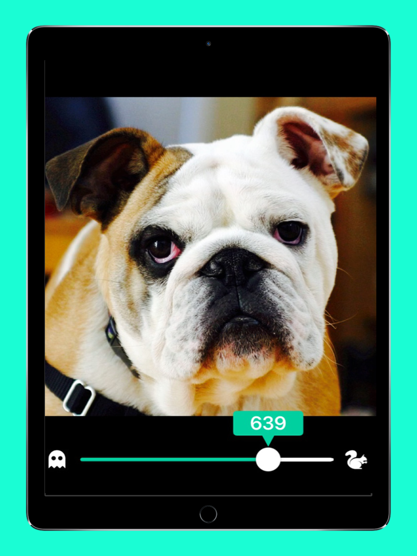 Talking Pets - Make your Cats and Dogs Speak for iOS (iPhone/iPad ...