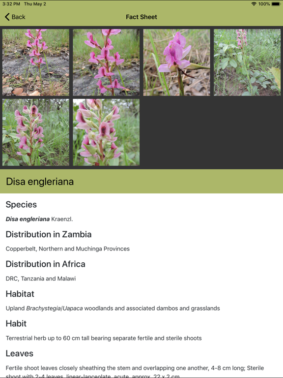 Laden Sie Chikanda Orchid Key für iOS (iPhone/iPad/iPod touch) bei ...