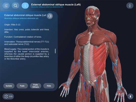 AR Anatomy for iOS (iPhone/iPad/iPod touch) - Free Download at AppPure