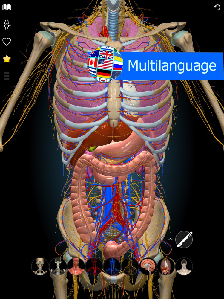 3D Anatomy Learning - Atlas para iOS (iPhone/iPad) - Baixar Grátis no ...