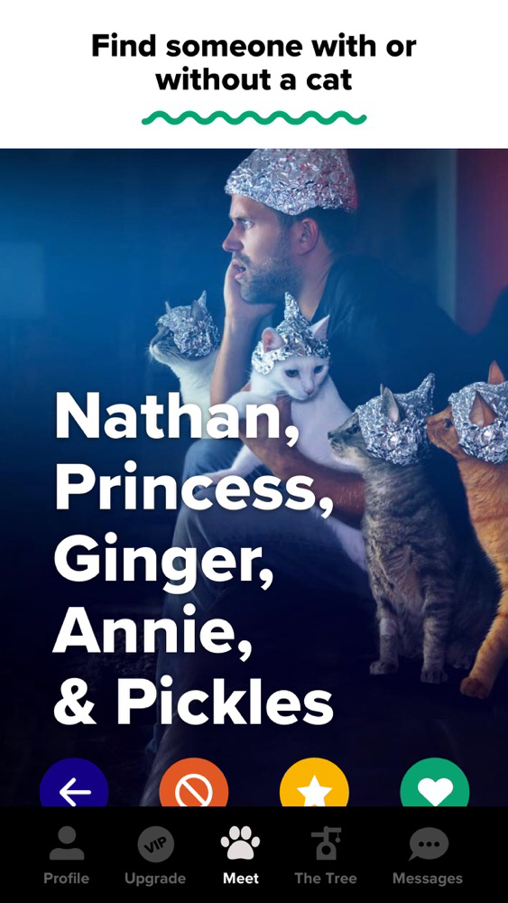 Tabby: Cat Person's Dating App for iOS (iPhone) - Free Download at AppPure