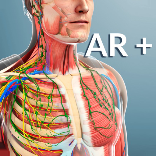 AR Human Anatomy for iOS (iPhone/iPad) - Free Download at AppPure