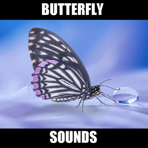 Butterfly Sound Effects! for iOS (iPhone/iPad/iPod touch) Latest ...