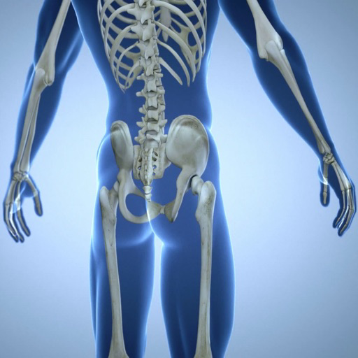 Skeletal System Quiz Trivia for iOS (iPhone/iPad) Latest Version at $1. ...