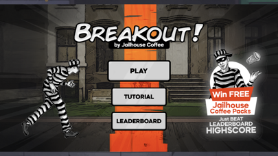 The Breakout Game for iOS (iPhone/iPod touch) - Free Download at AppPure