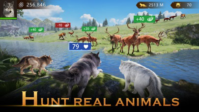 Wolf Game: Wild Animal Wars for iOS (iPhone/iPad/iPod touch) - Free ...