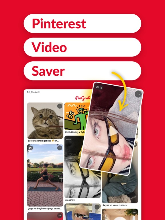 PinGrab: Save & Organize for iOS (iPhone/iPad) - Free Download at AppPure