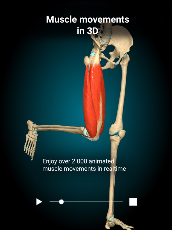 Anatomy Learning 3d Anatomy For Ios Iphone Ipad Free Download At