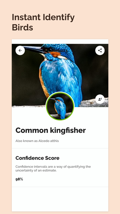 Bird Identifier: Bird Id for iOS (iPhone/iPod touch) - Free Download at ...