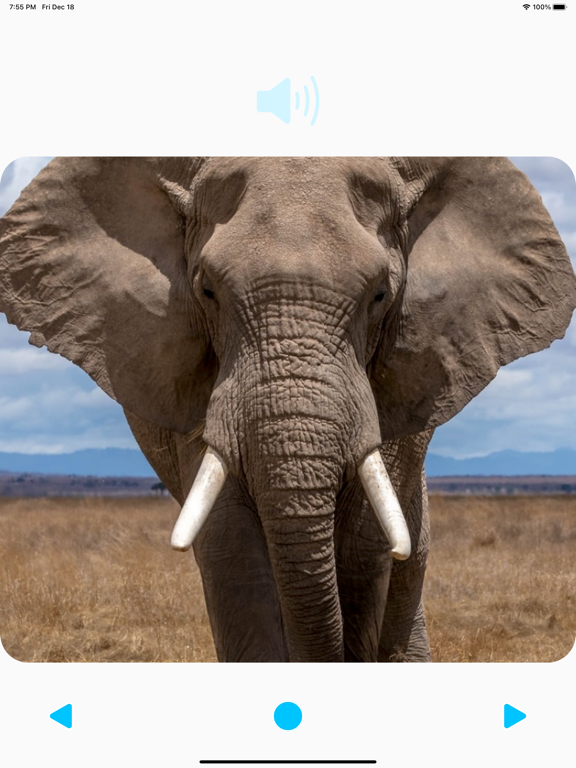 AppPureでiOS (iPhone/iPad/iPod touch)版Animal Sounds Playerの 最新バージョン価格は ¥ ...