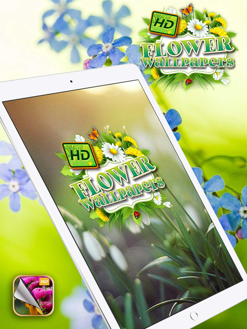 HD Flower Wallpaper.s – Beautiful Floral Themes and Custom Lock Sreen ...