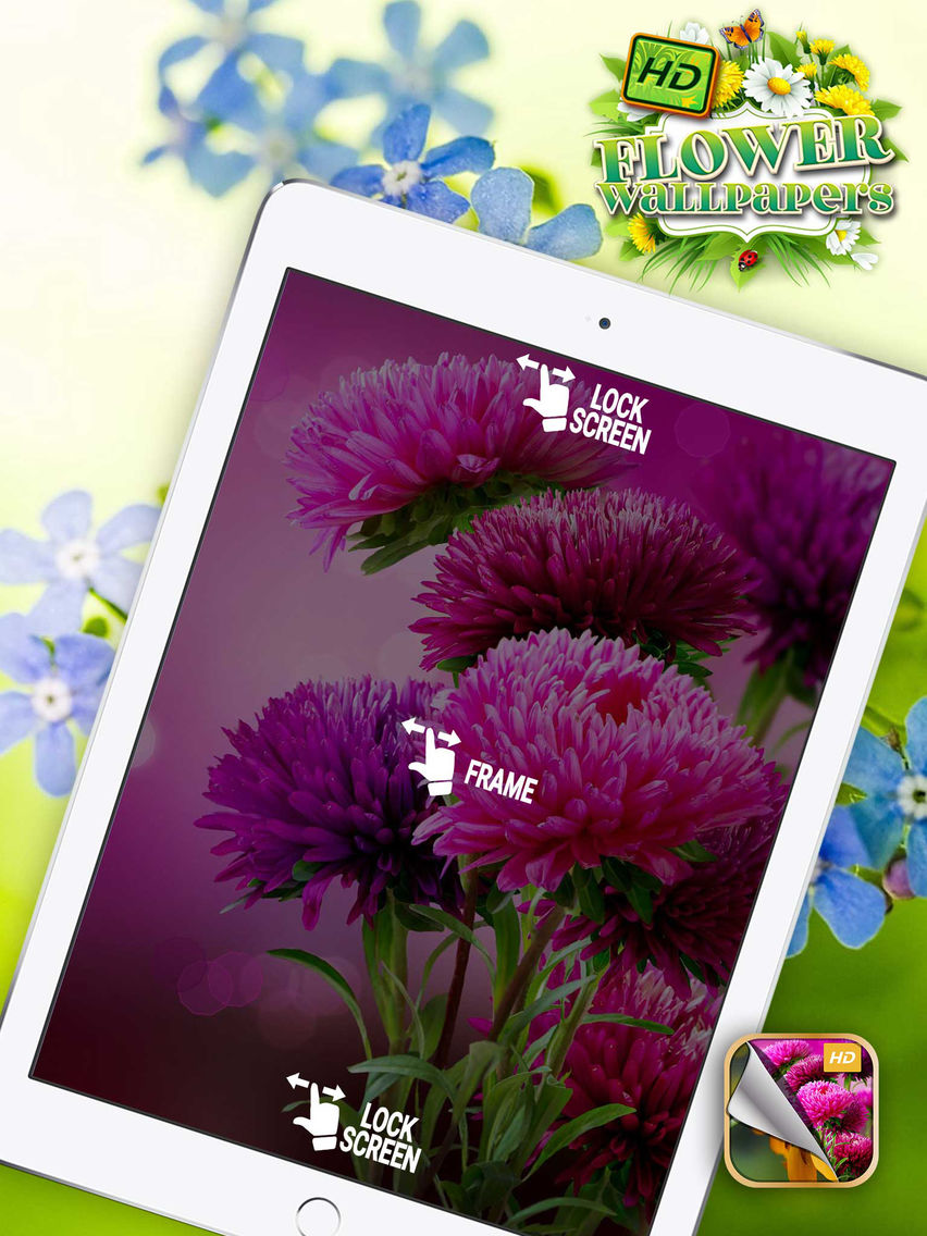 HD Flower Wallpaper.s – Beautiful Floral Themes and Custom Lock Sreen ...