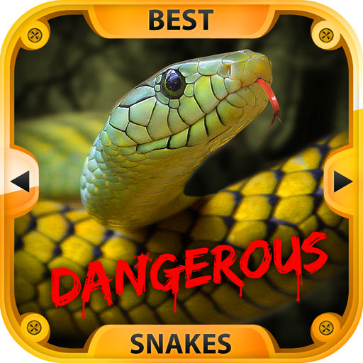 The Best Dangerous Snakes for iOS (iPhone/iPad) - Free Download at AppPure