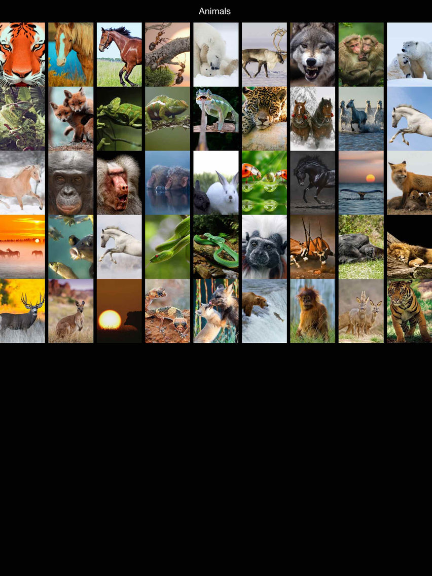 HD Wallpapers for Animals Background & Lock Screen for iOS (iPhone/iPad ...
