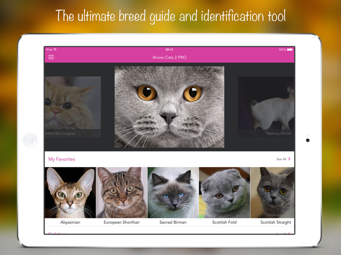 iKnow Cats 2 PRO - Cat Breed Guide for iOS (iPhone/iPad) Latest Version ...