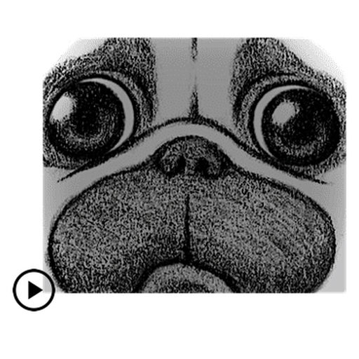 Animated Cute Pug Dog Stickers for iOS (iPhone/iPad) Latest Version at ...