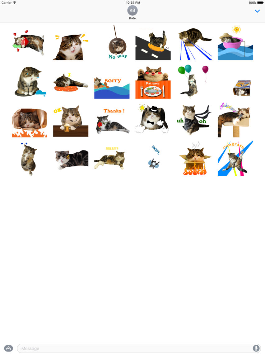 Molly The Cat Animated für iOS (iPhone/iPad), Neueste Version zum $0.99 ...