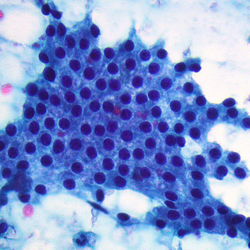 FNA Reader for iOS (iPhone) - Free Download at AppPure
