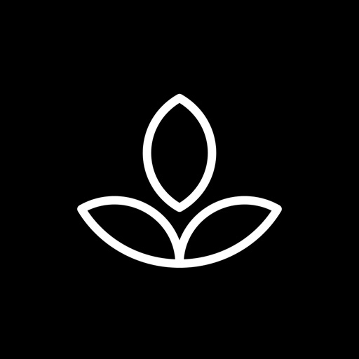 Emphasis: Flow & Focus Timer for iOS (iPhone/iPad/Mac/Apple Watch ...