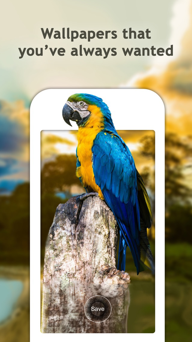 Dynamic Wallpapers for Lock Screen – Pro Themes for iOS (iPhone) Latest ...